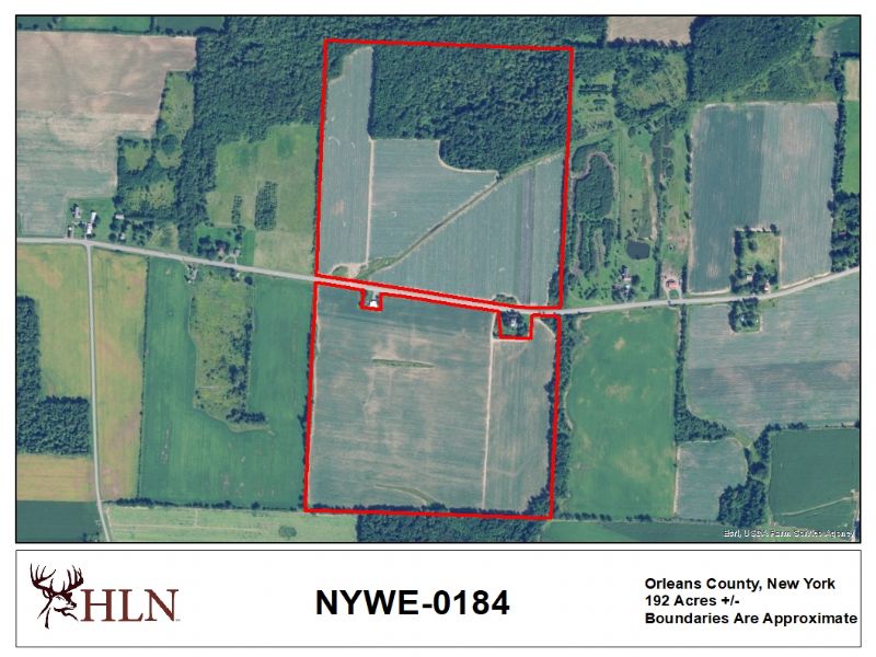 Hunting Leases | Hunting Lease Network